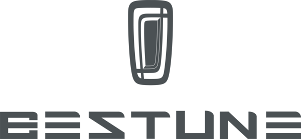 Solicita más información de Bestune T55